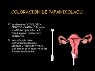 Fundamento pap usos | PPT