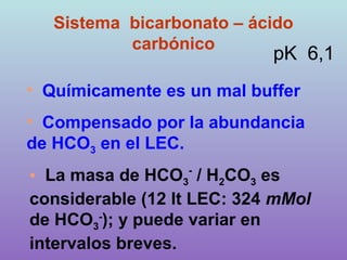 Fundamentos ácido base | PPS