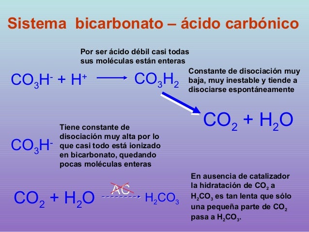 Fundamentos ácido base
