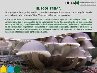 Fundamentos de ecología v2 | PPSX