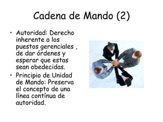 Fundamentos de la estructura organizacional | PPT