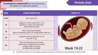 FUNDAMENTOS DE LA REPRODUCCIÓN HUMANA (1).pptx