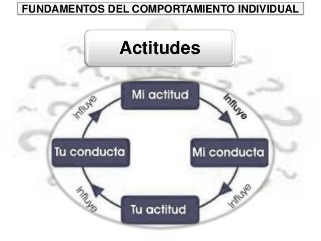 Fundamentos del comportamiento individual - Grupo 1 Fundamentos del comportamiento individual - Grupo 1