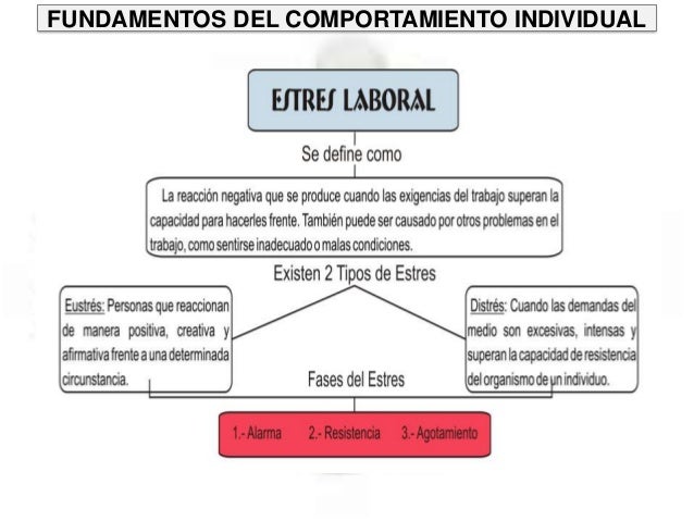 Fundamentos del comportamiento individual - Grupo 1 Fundamentos del comportamiento individual - Grupo 1