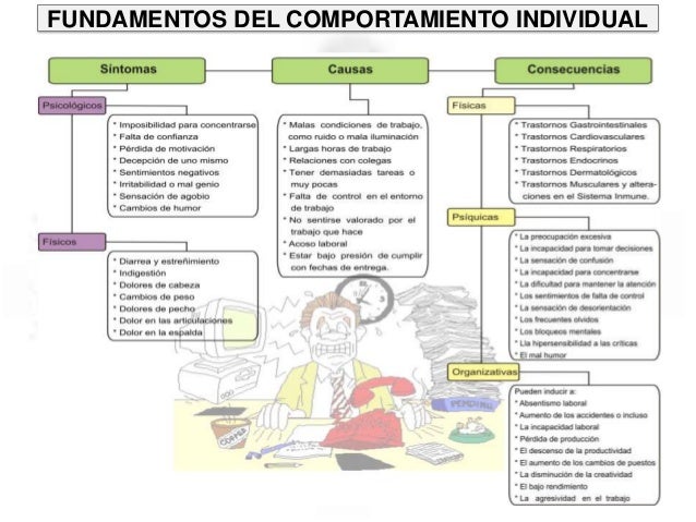 Fundamentos del comportamiento individual - Grupo 1 Fundamentos del comportamiento individual - Grupo 1