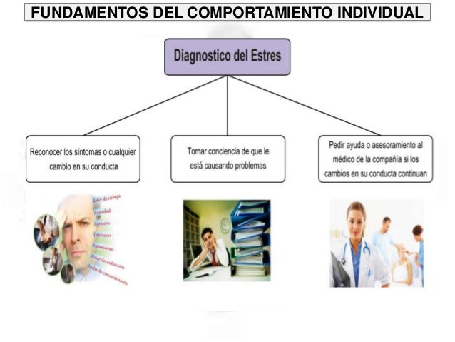 Fundamentos del comportamiento individual - Grupo 1 Fundamentos del comportamiento individual - Grupo 1