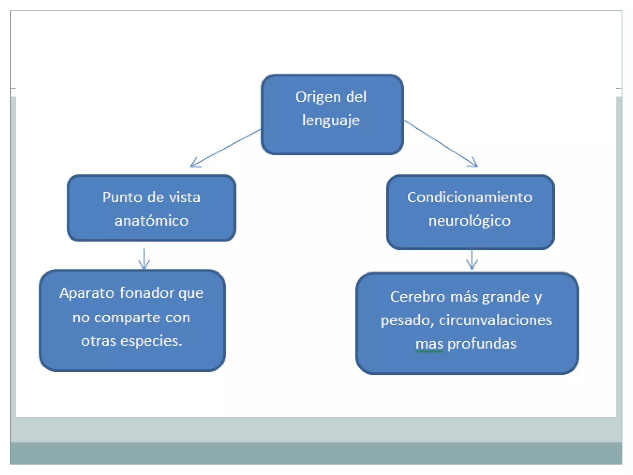 Fundamentos del desarrollo del lenguaje | PPTX