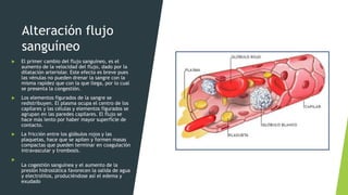Fundamentos inflamacion poer point año 2020 | PPTX