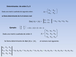 Fundamentos matrices y determinantes | PPTX