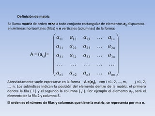 Fundamentos matrices y determinantes | PPTX