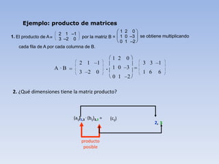 Fundamentos matrices y determinantes | PPTX