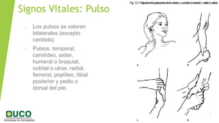 Fundamentos planos corporales y examen fisico | PPT