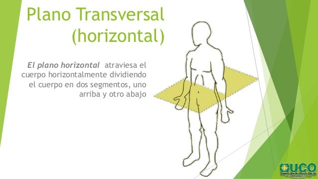 Fundamentos planos corporales y examen fisico