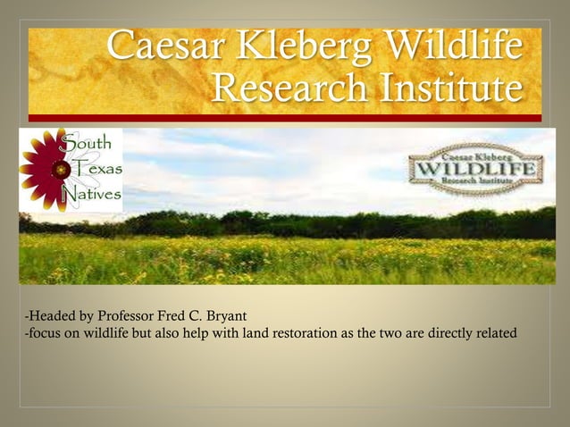 Fund eco lab_proj | PPTX