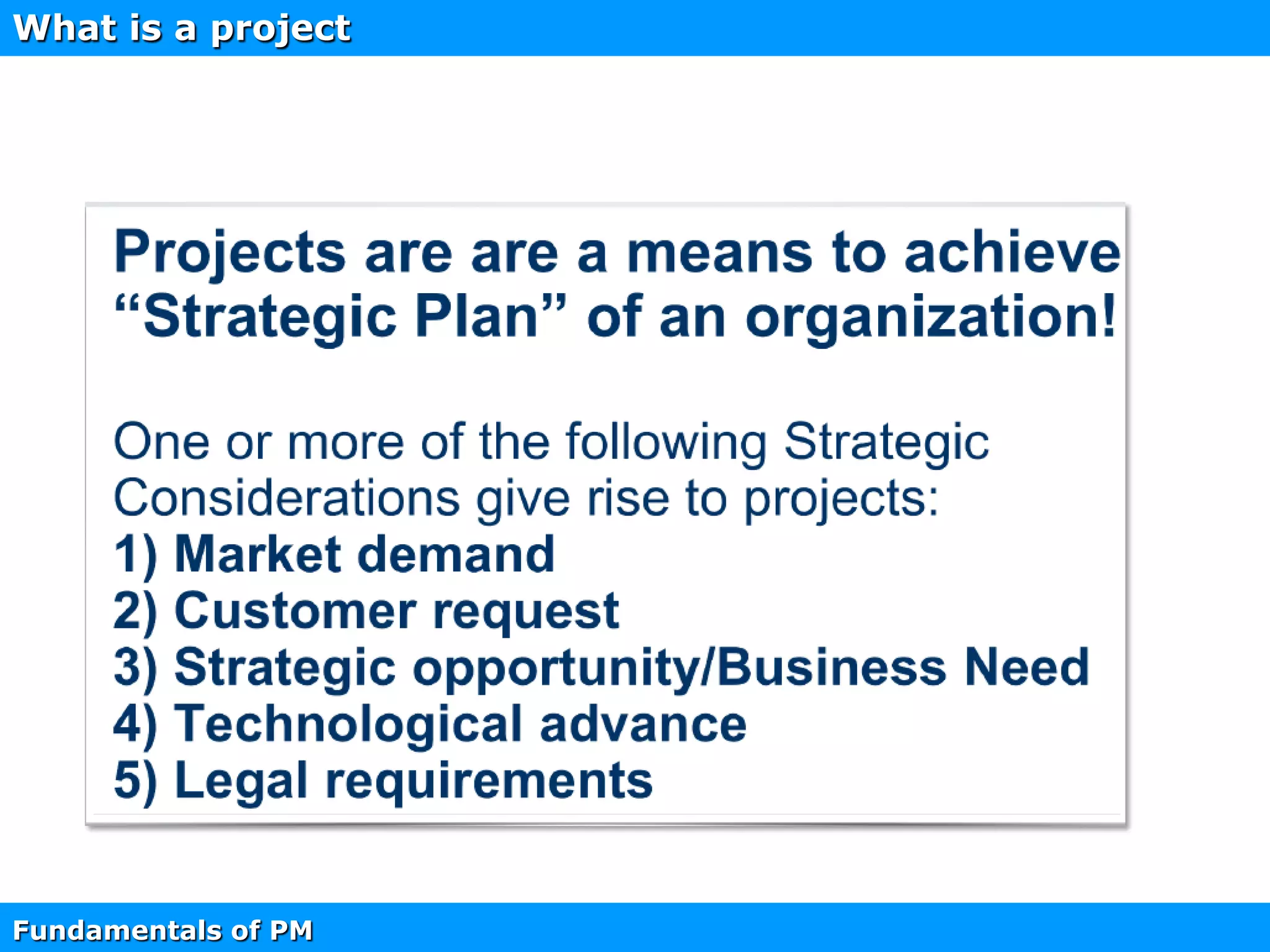 Fundamentals of project management | PDF