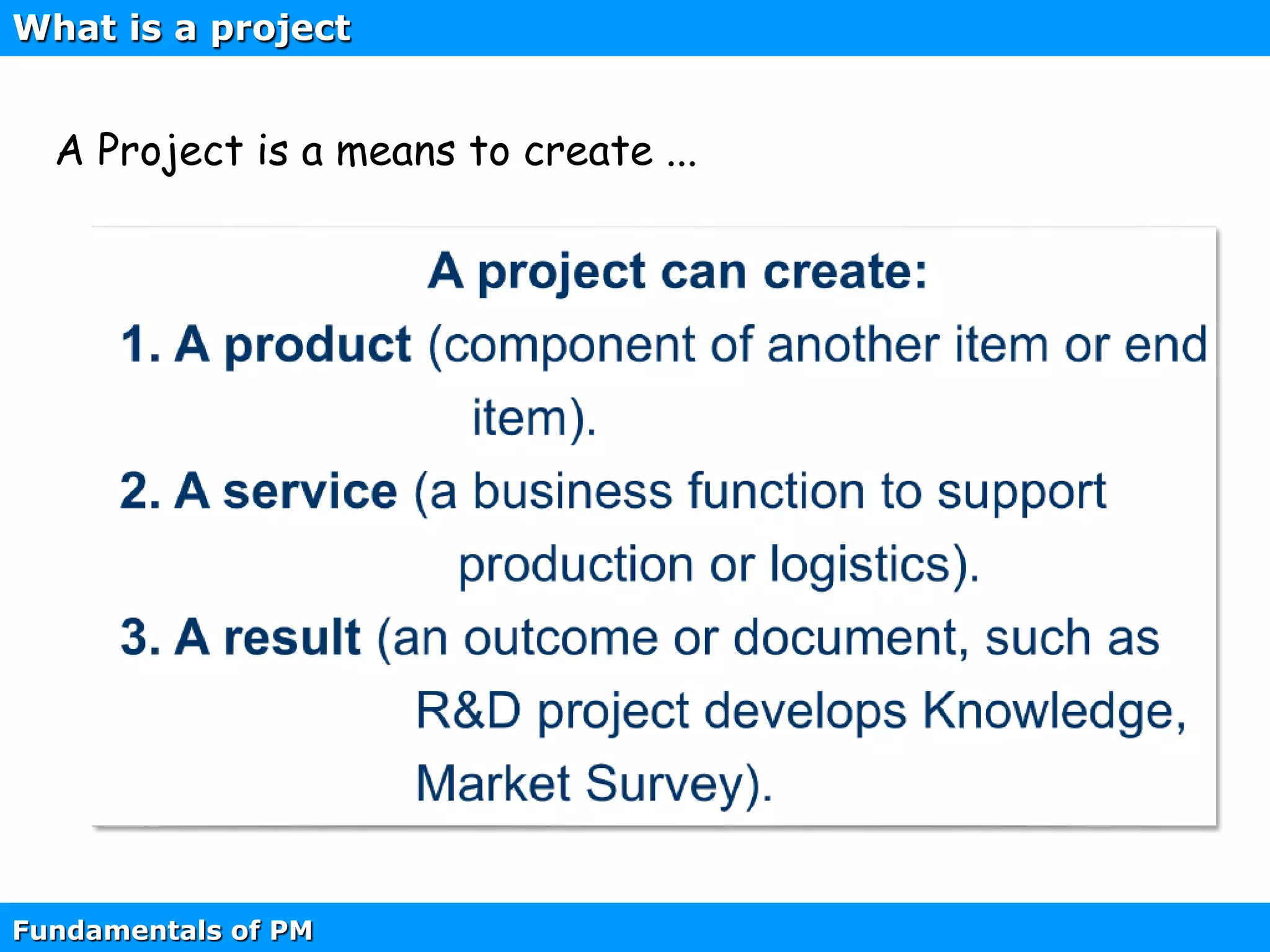 Fundamentals of project management | PDF