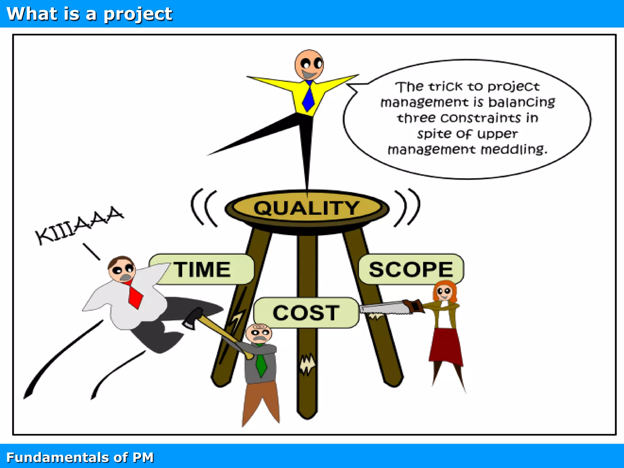 Fundamentals of project management | PDF