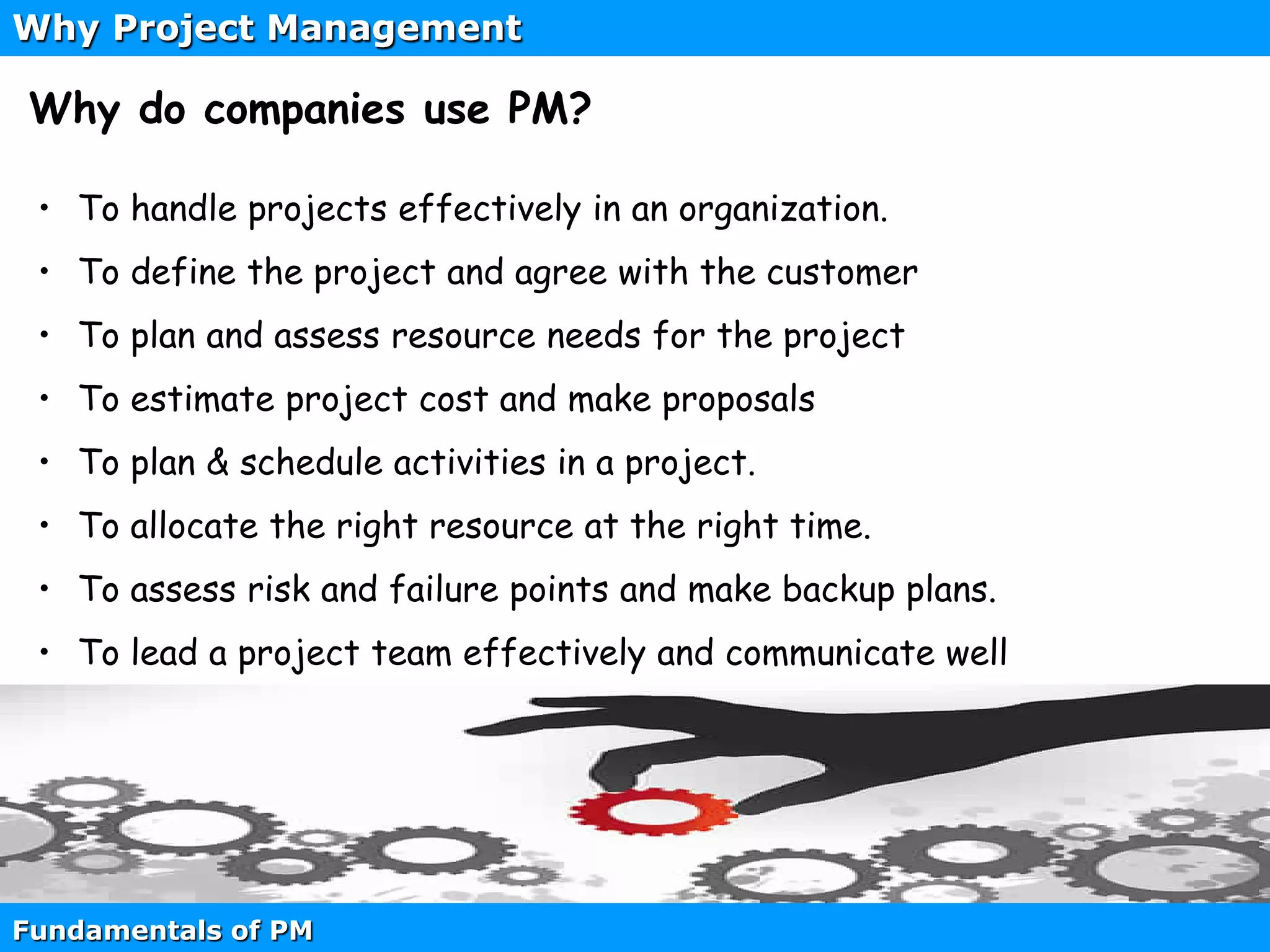 Fundamentals of project management | PDF