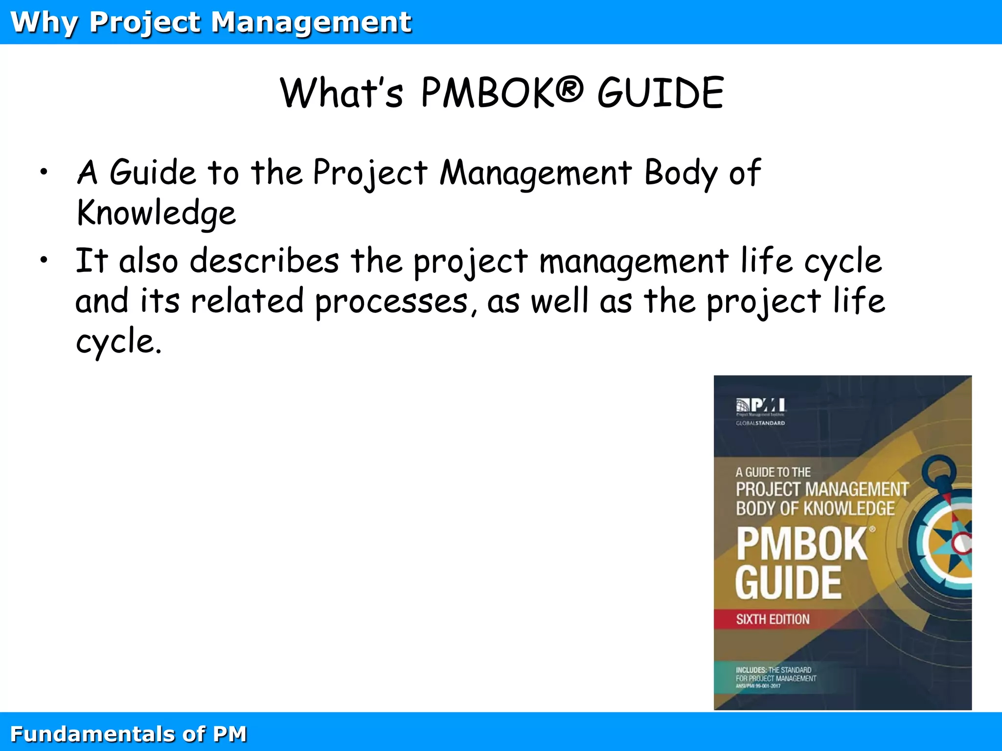 Fundamentals of project management | PDF