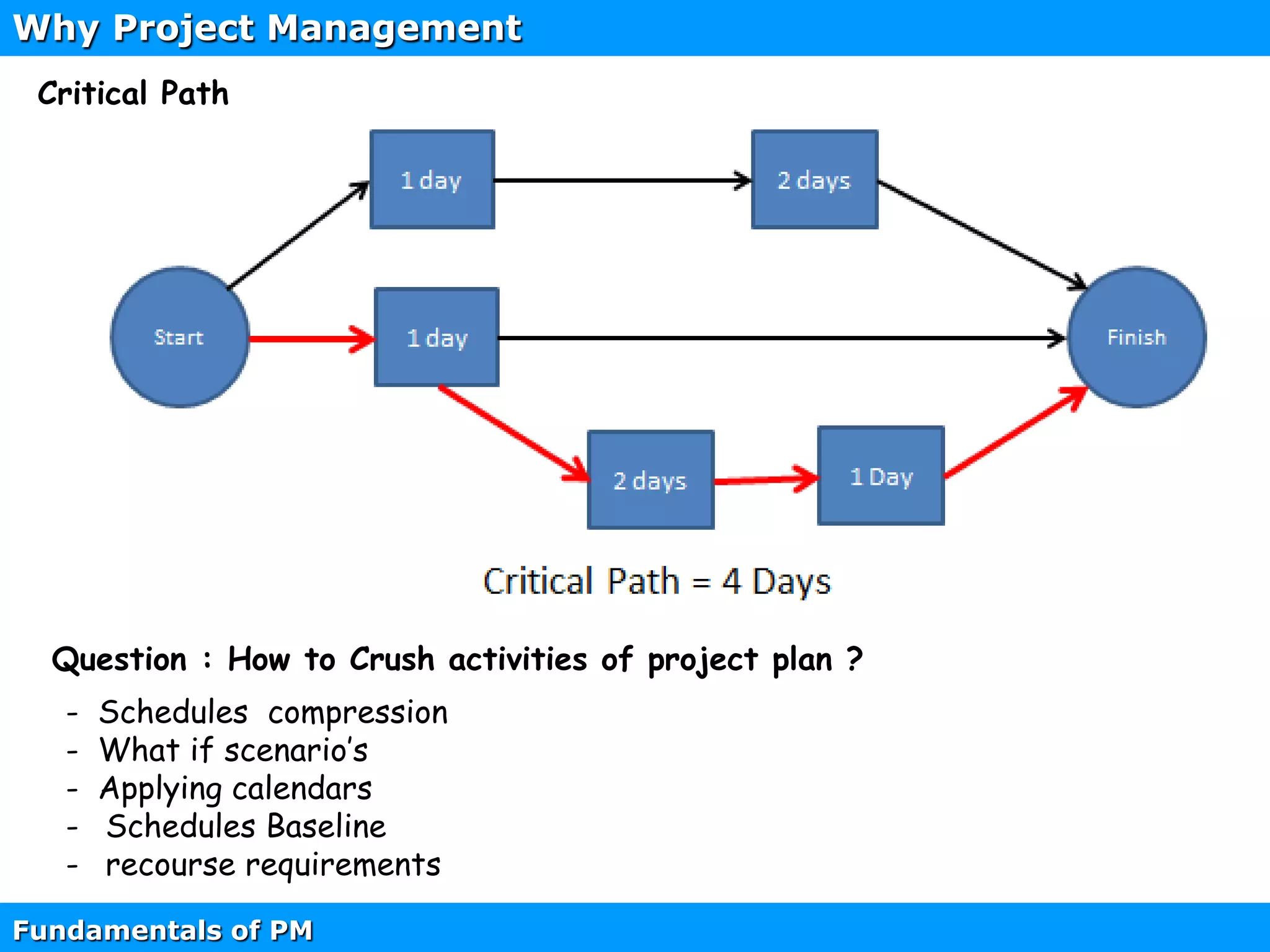 Fundamentals of project management | PDF