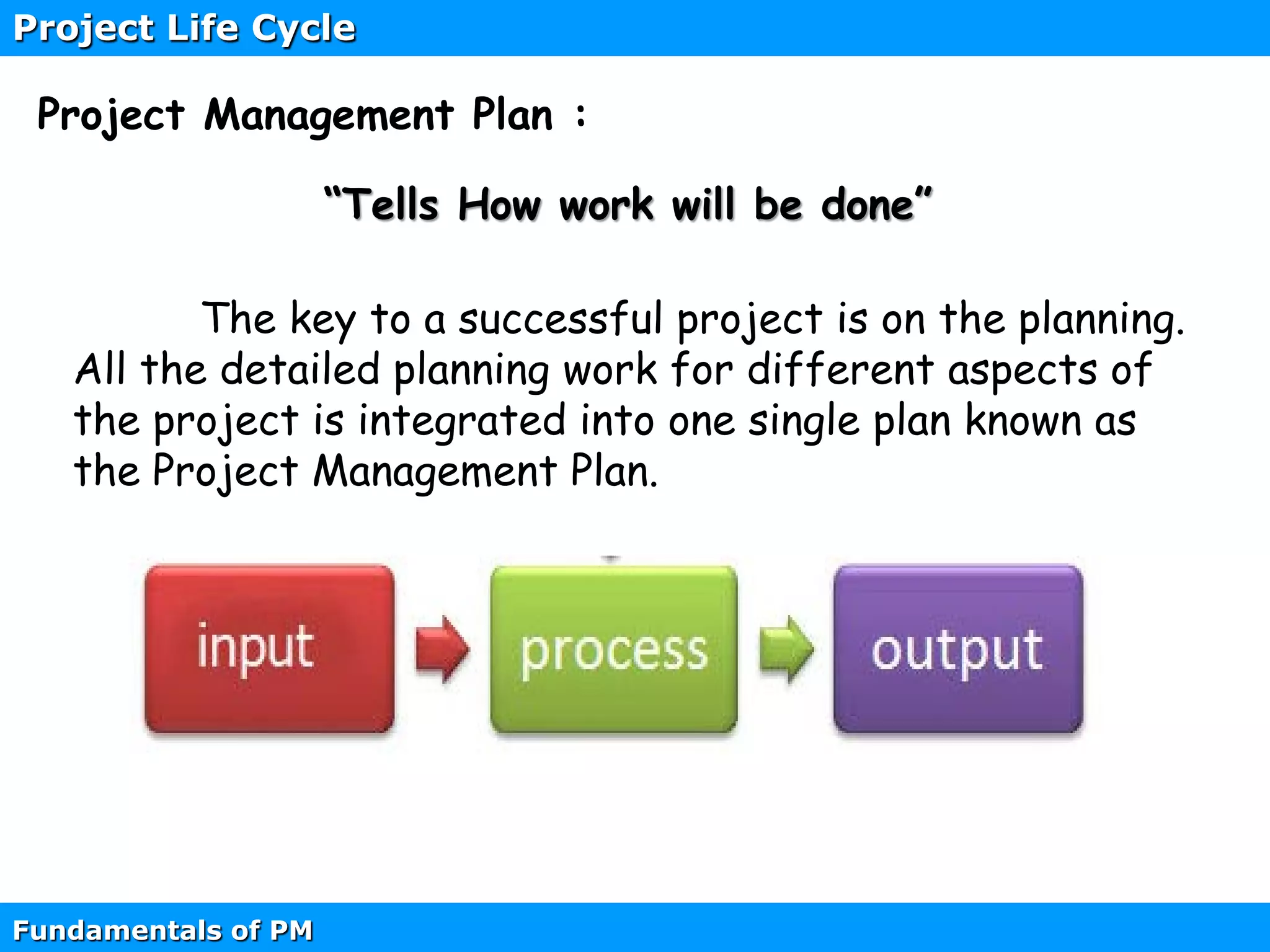 Fundamentals of project management | PDF