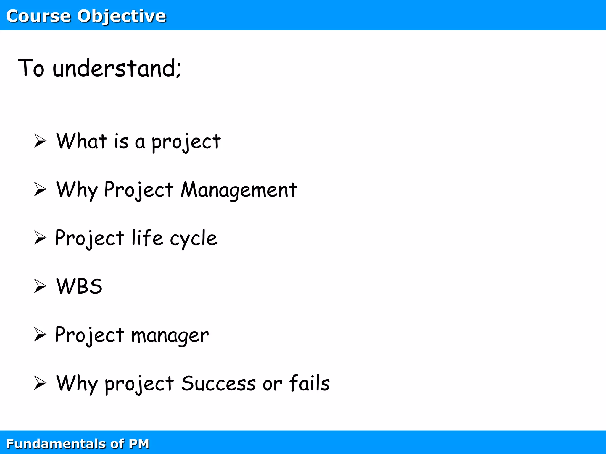 Fundamentals of project management | PDF