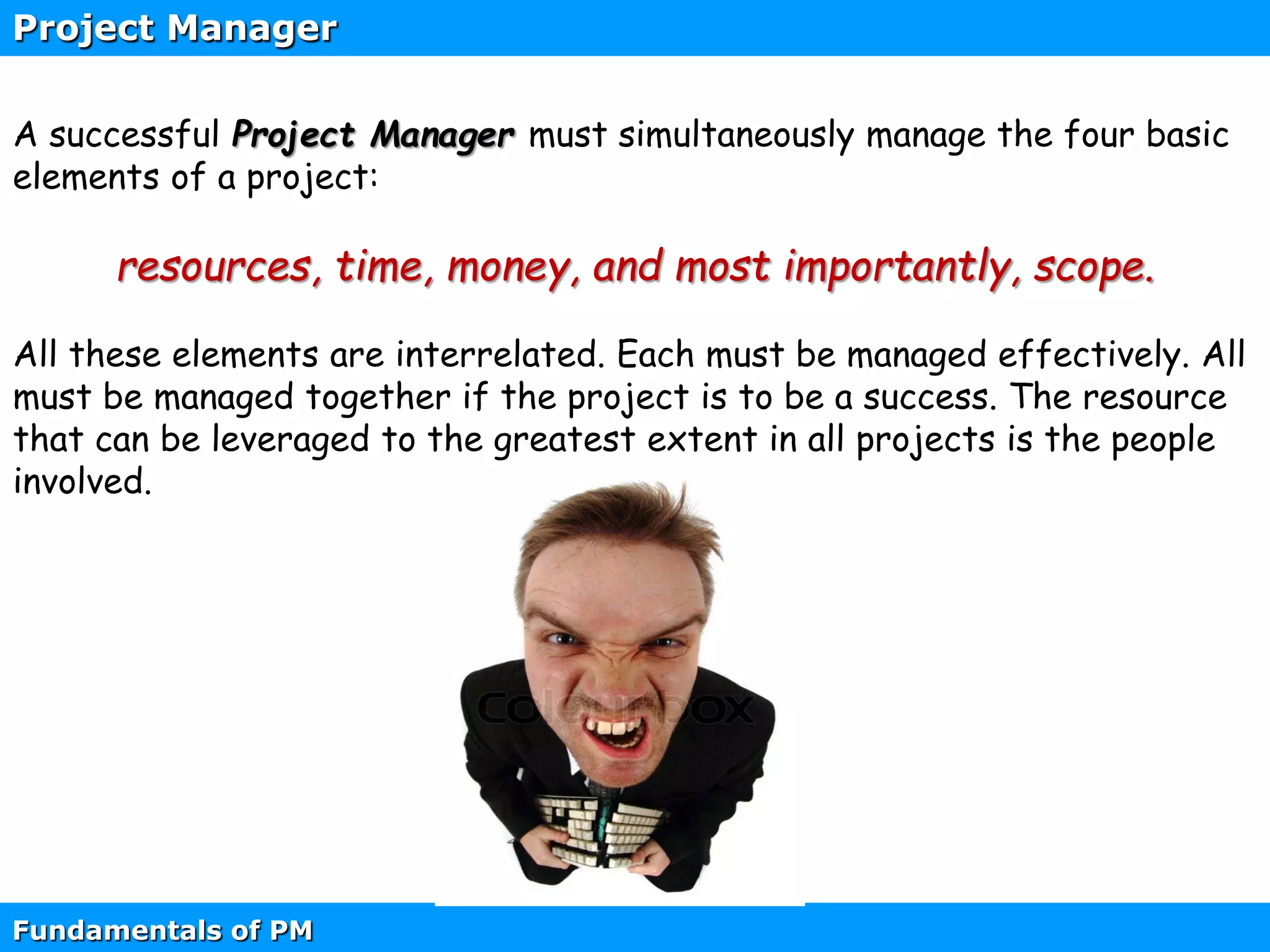 Fundamentals of project management | PDF
