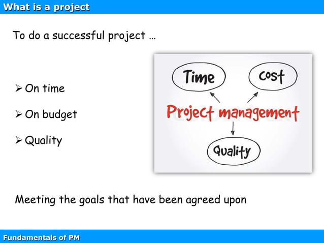 Fundamentals of project management | PDF
