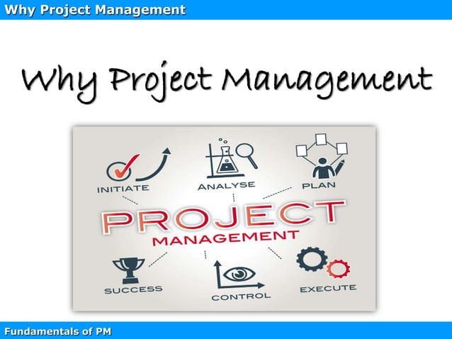 Fundamentals of project management | PDF