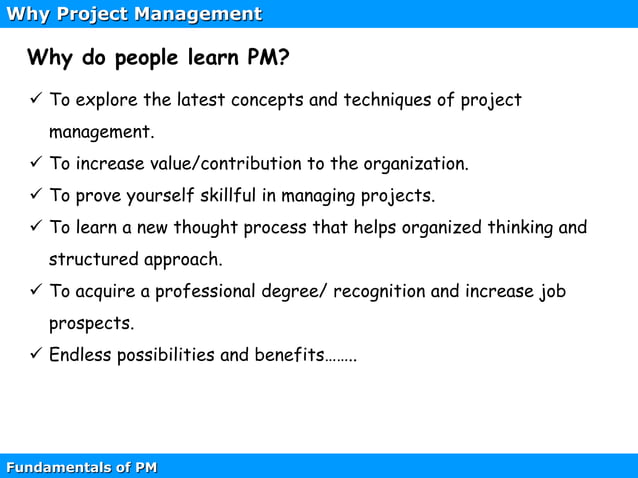 Fundamentals of project management | PDF
