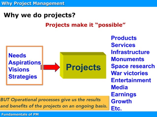 Fundamentals of project management | PDF
