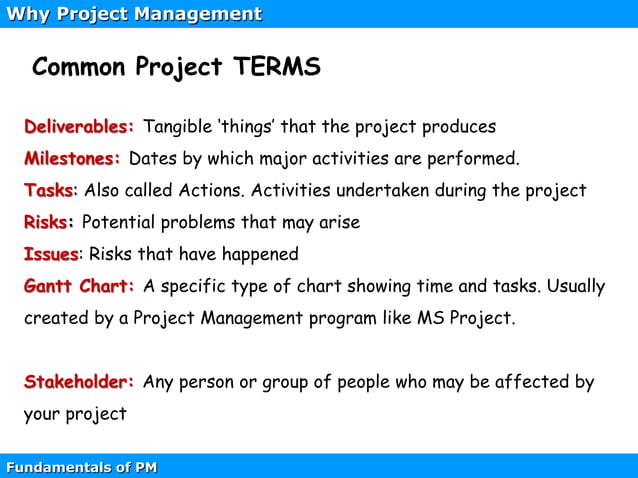 Fundamentals of project management | PDF