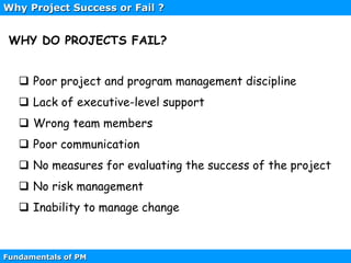 Fundamentals of project management | PDF