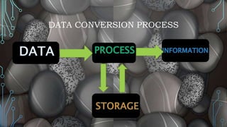 Computer Literacy for beginners in the computing world | PPT | Free ...