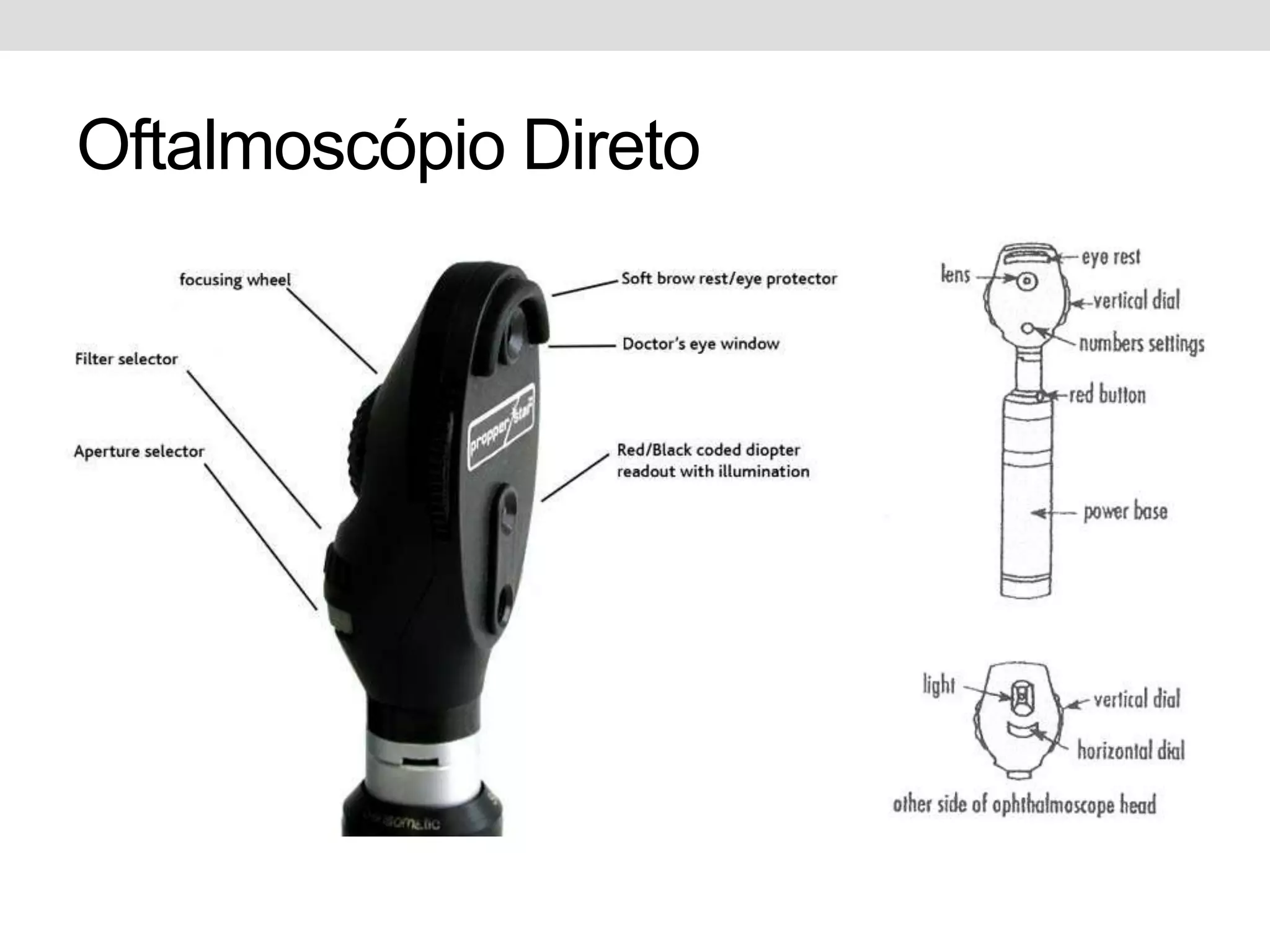 Fundoscopia para iniciantes | PPTX