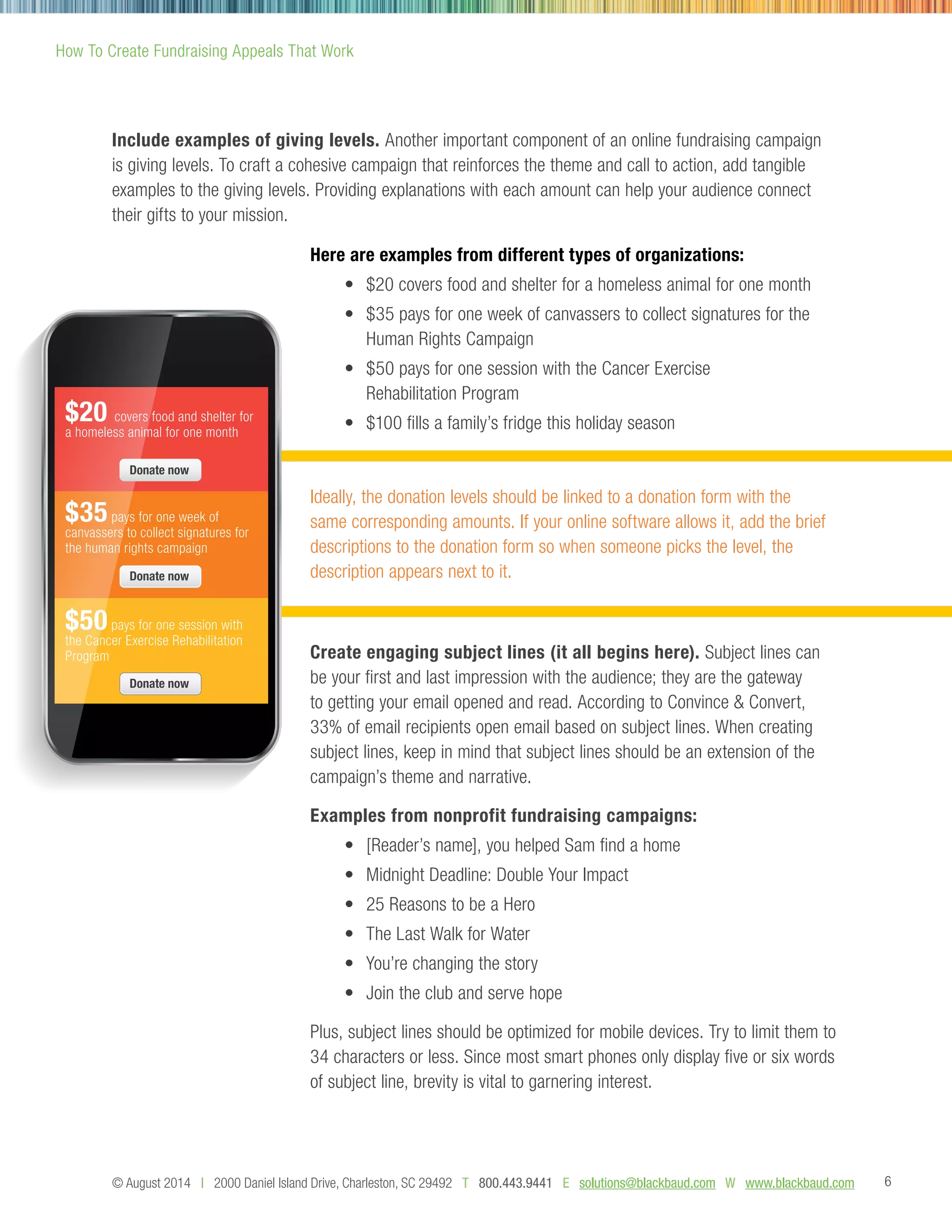 Fundraising appeals-template-by-blackbaud-140811100310-phpapp02 | PDF