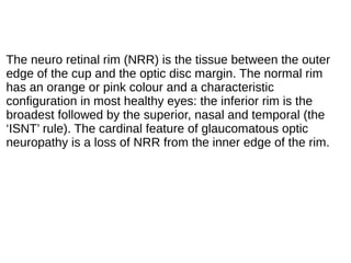 Fundus in Glaucoma | ODP