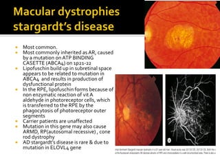 hereditary macular and choroidal dystrophies | PDF | Eye and Vision ...