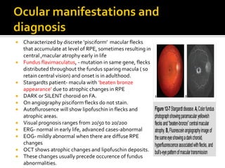 hereditary macular and choroidal dystrophies | PDF | Eye and Vision ...