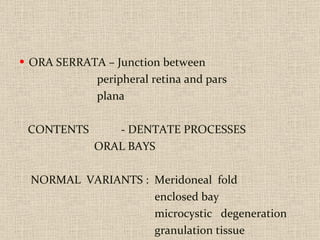 Fundus examination | PPT
