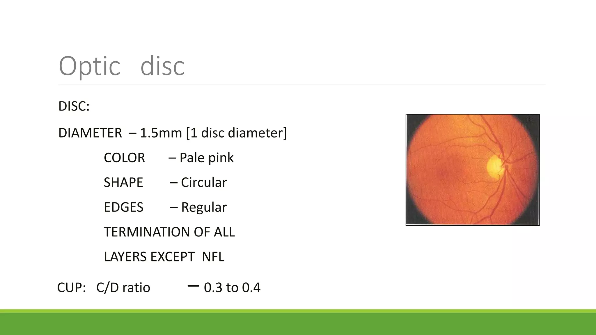 Fundus examination | PPTX