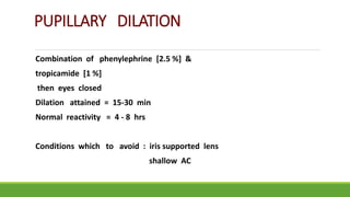 Fundus examination | PPTX