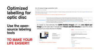 Labeling fundus images for classification models | PDF | Eye and Vision Conditions | Diseases ...