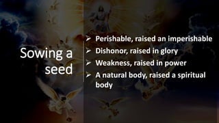 Funeral prep 1 Corinthians 15:35-49 | PPTX