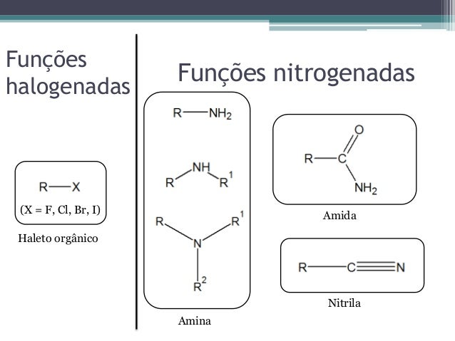 Funções halogenadas e nitrogenadas