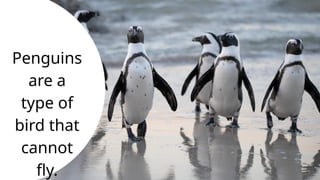 Fun Facts About Birds Presentation in Colorful Realistic Style.pptx