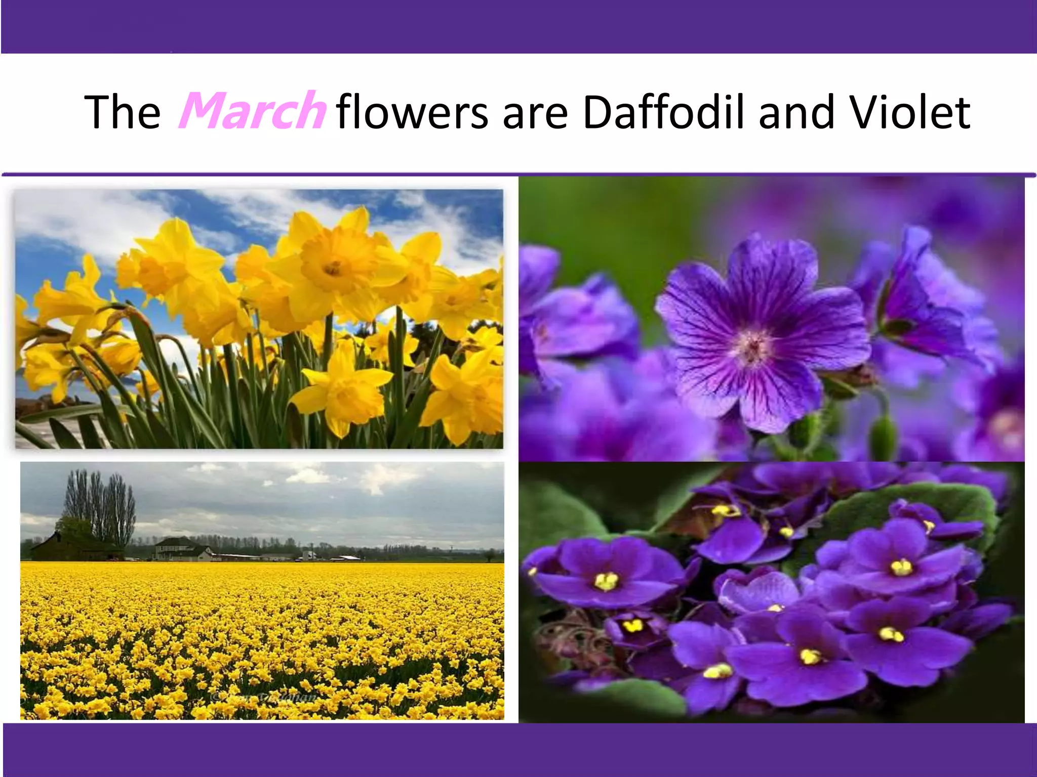 Fun facts about march | PPTX