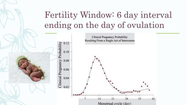 Fun Facts about Fertility | PPT
