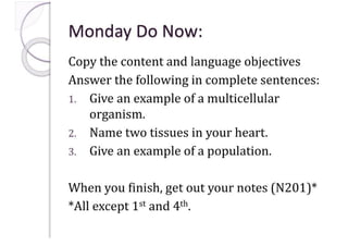 Fun Friday | PDF