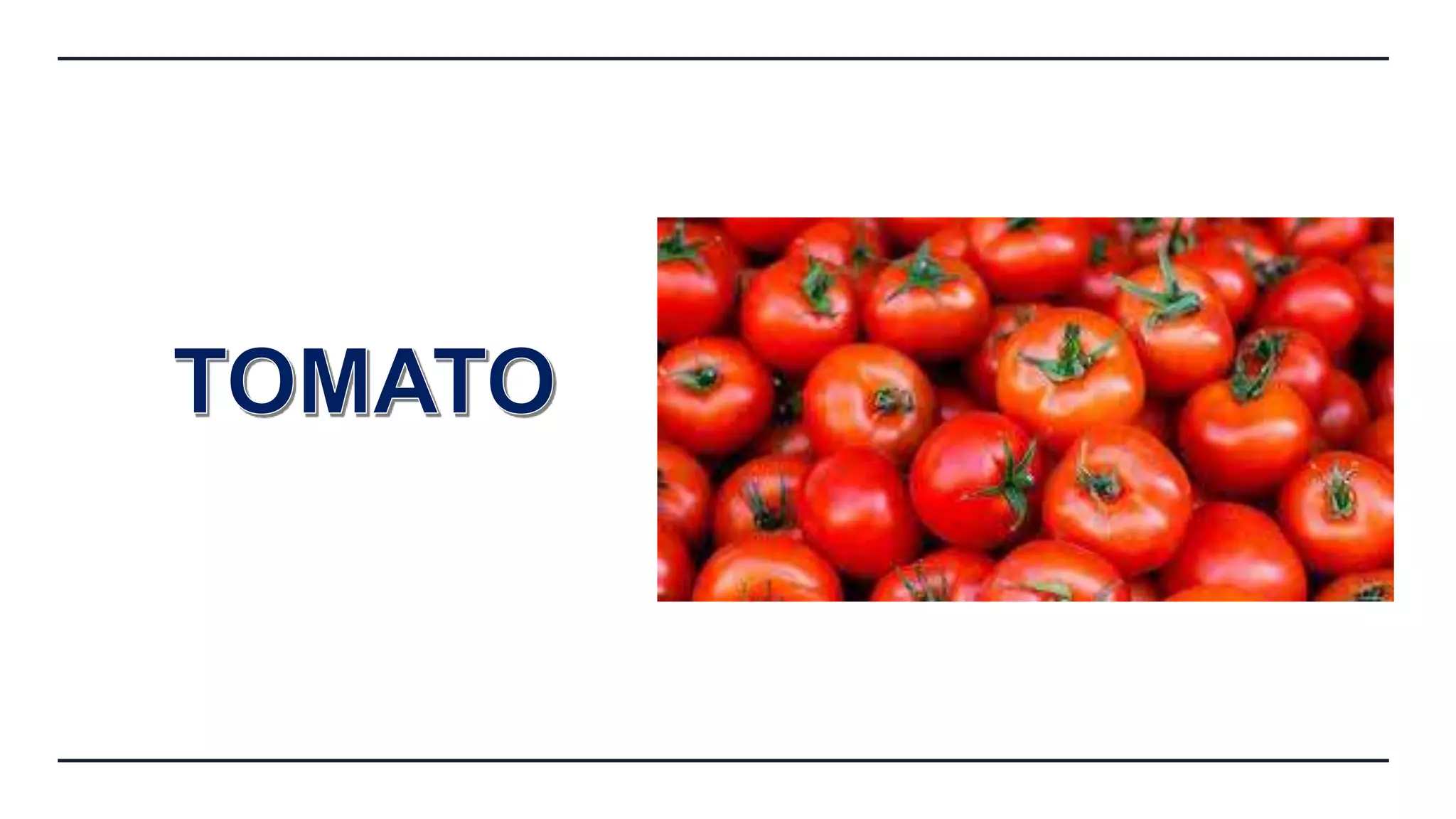 Riddles for virtual office fun activities | PPTX